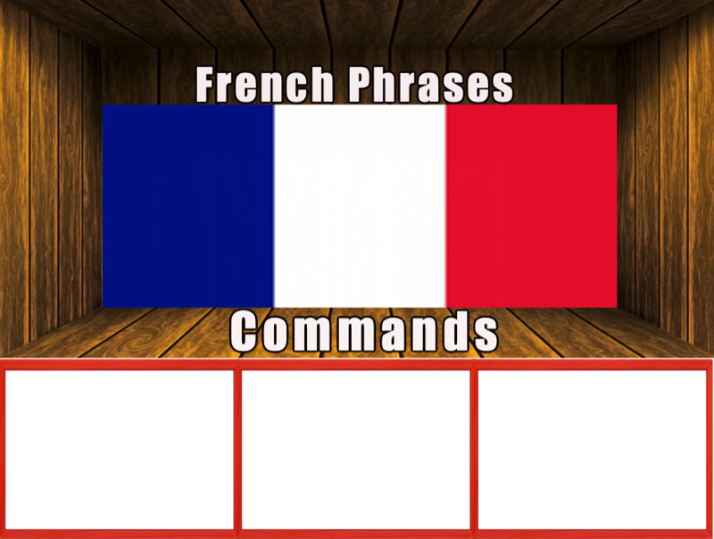 Commands in French